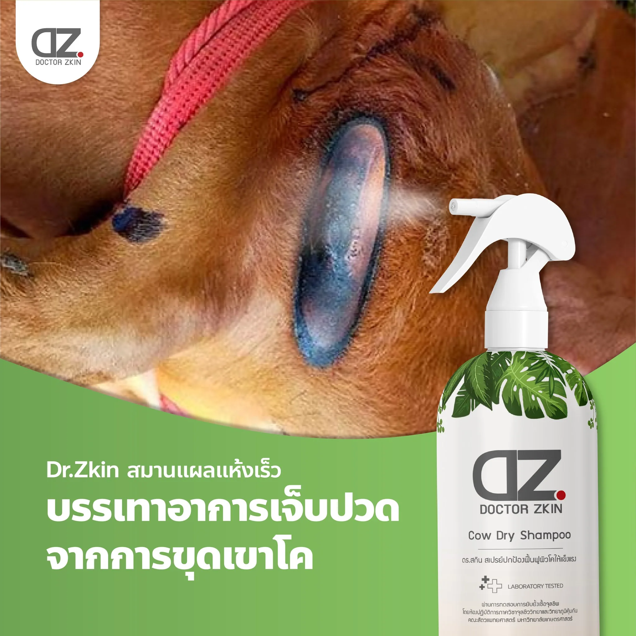 Dr.Zkin Cow Dry Shampoo 300 ml [ราคาพิเศษ]